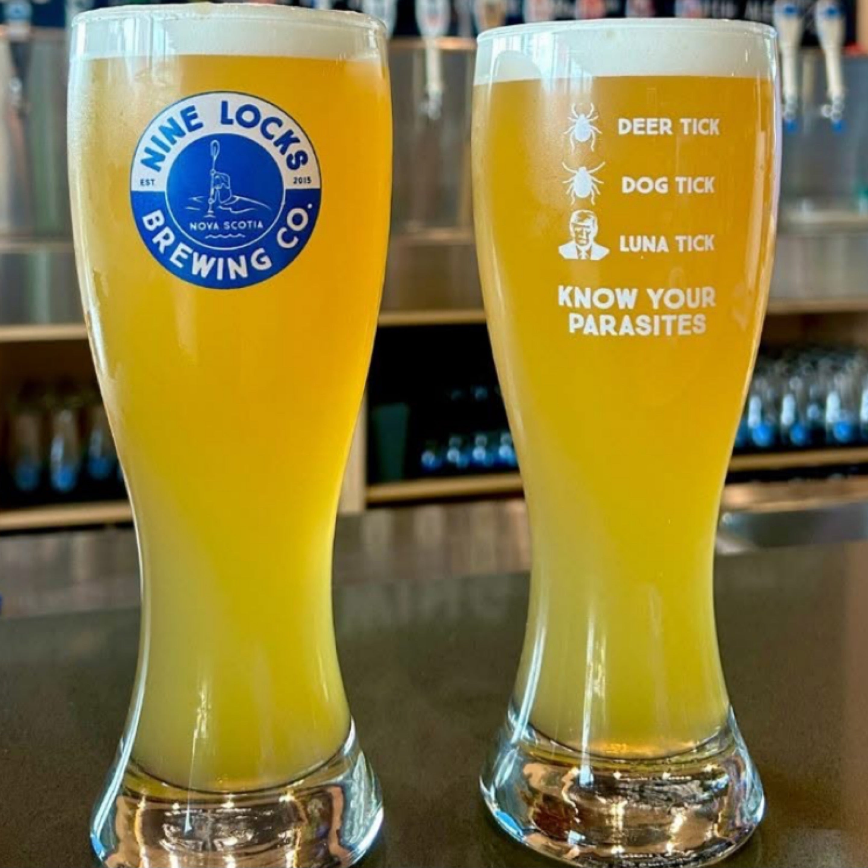 20 oz. Glass | Nine Locks Brewing Company